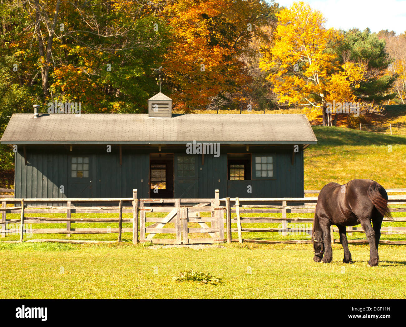 Farm stables in field hi-res stock photography and images - Alamy