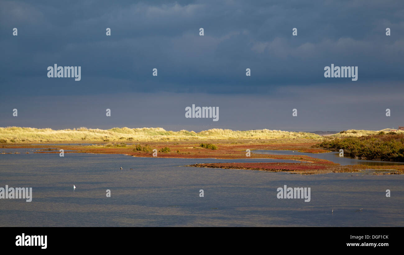 Titchwell marsh, Norfolk, UK Stock Photo - Alamy