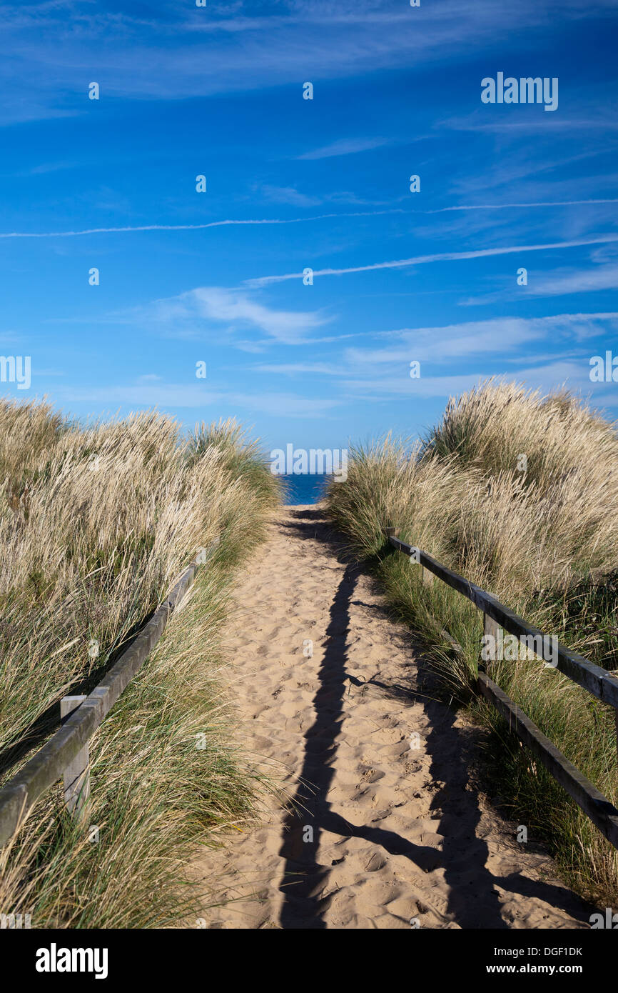 Beach path hi-res stock photography and images - Alamy