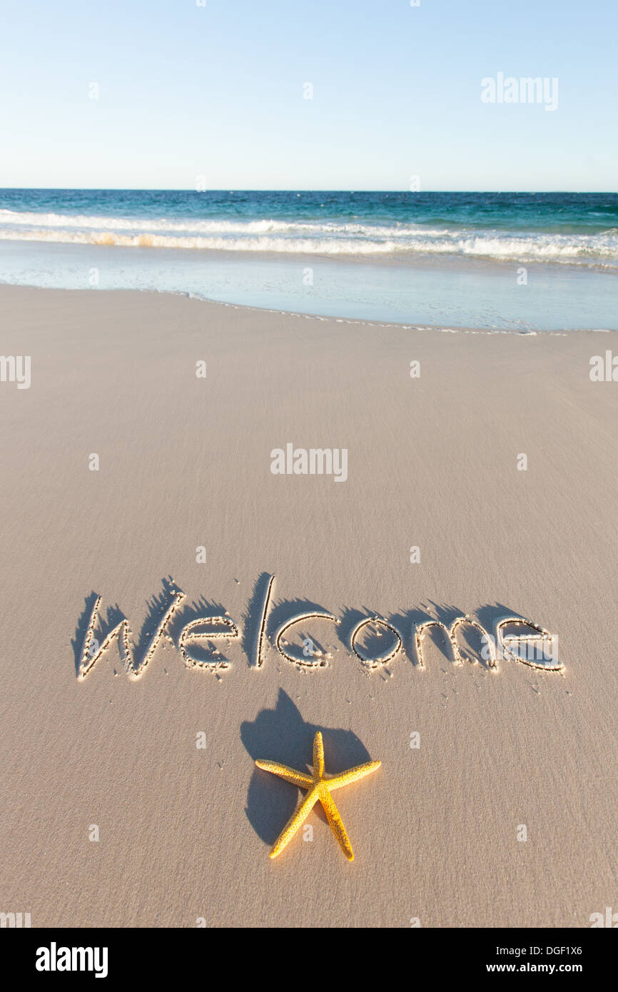 Australian starfish hi-res stock photography and images - Alamy