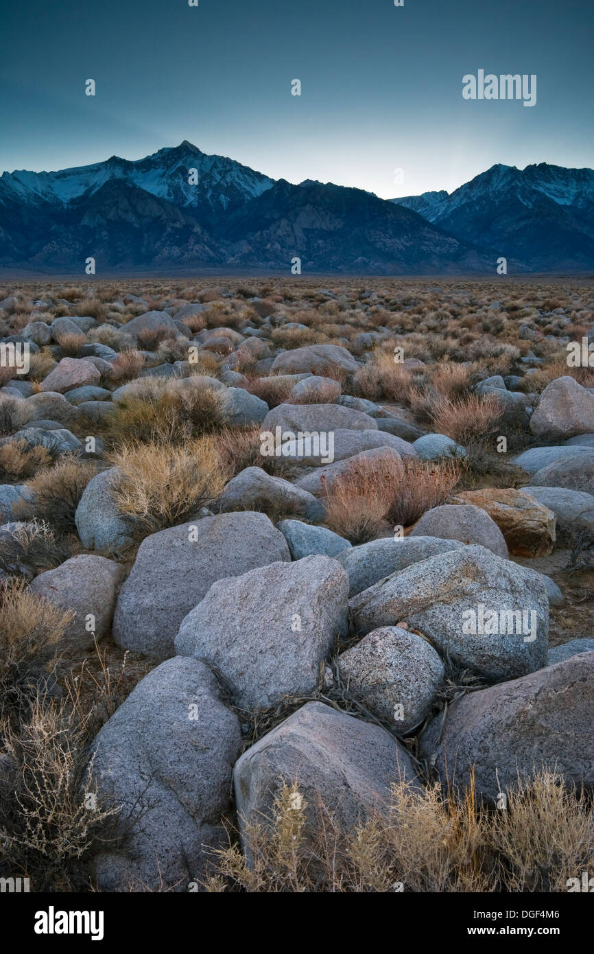 Rock field at sunset below the mountains of the Eastern Sierra, near ...