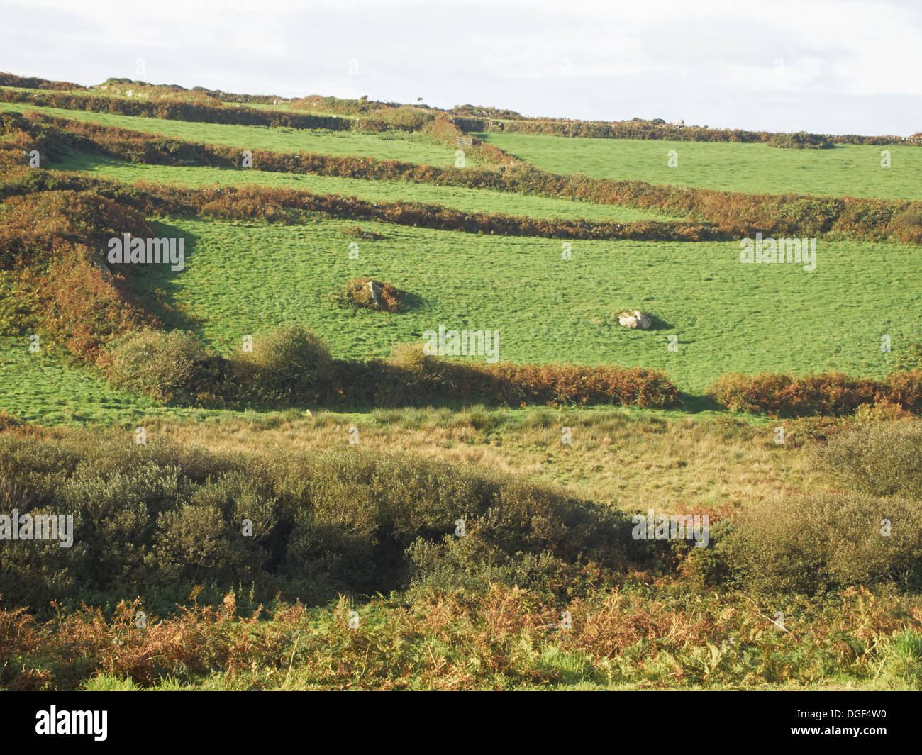 Uk pasture hi-res stock photography and images - Alamy