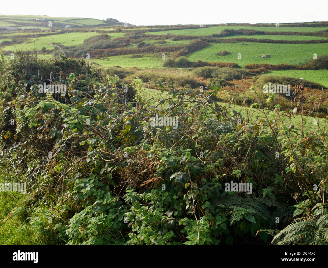 Cornwall panorama fields hi-res stock photography and images - Alamy