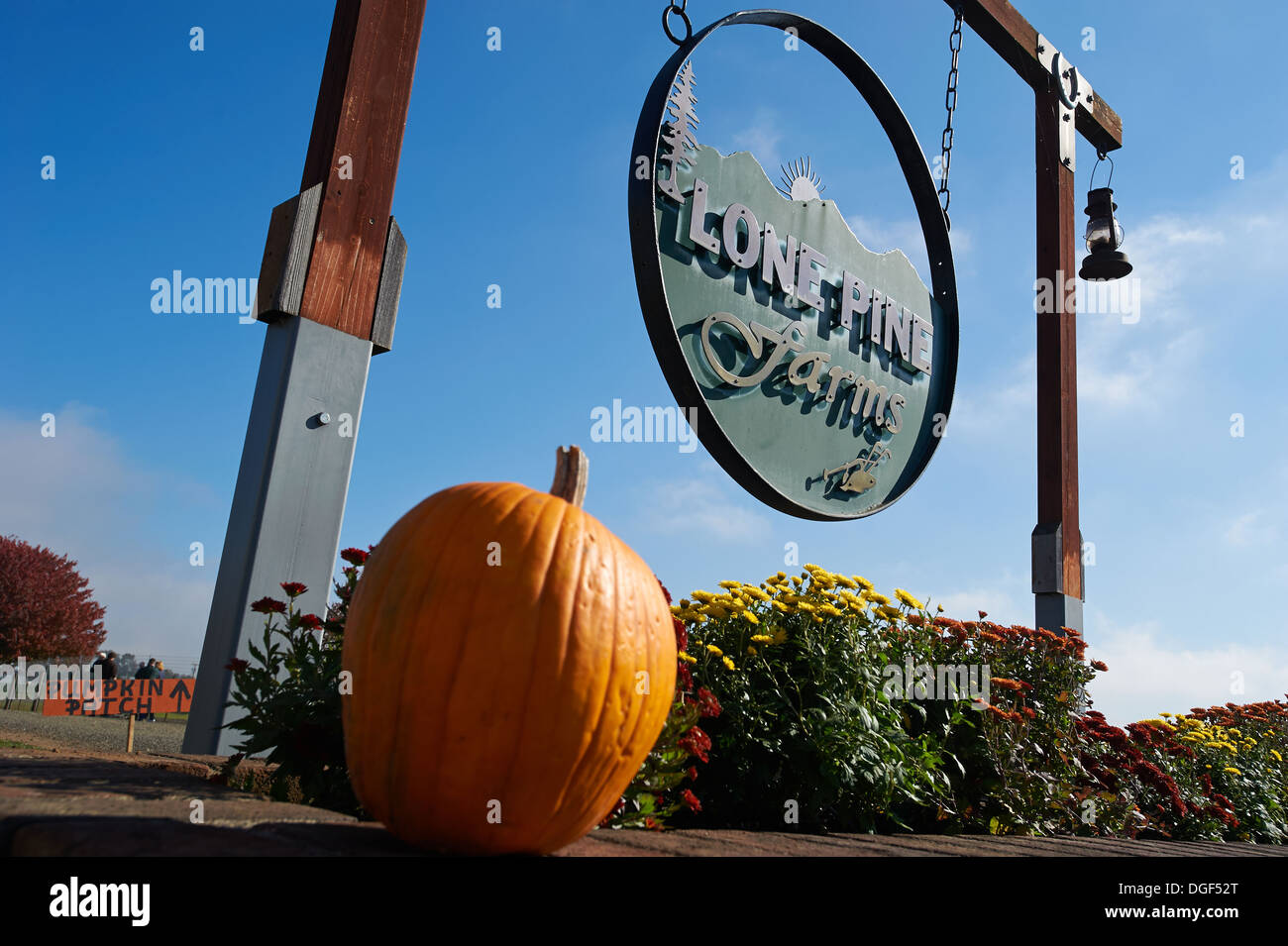 Lone Pine farms entrance sign Stock Photo - Alamy
