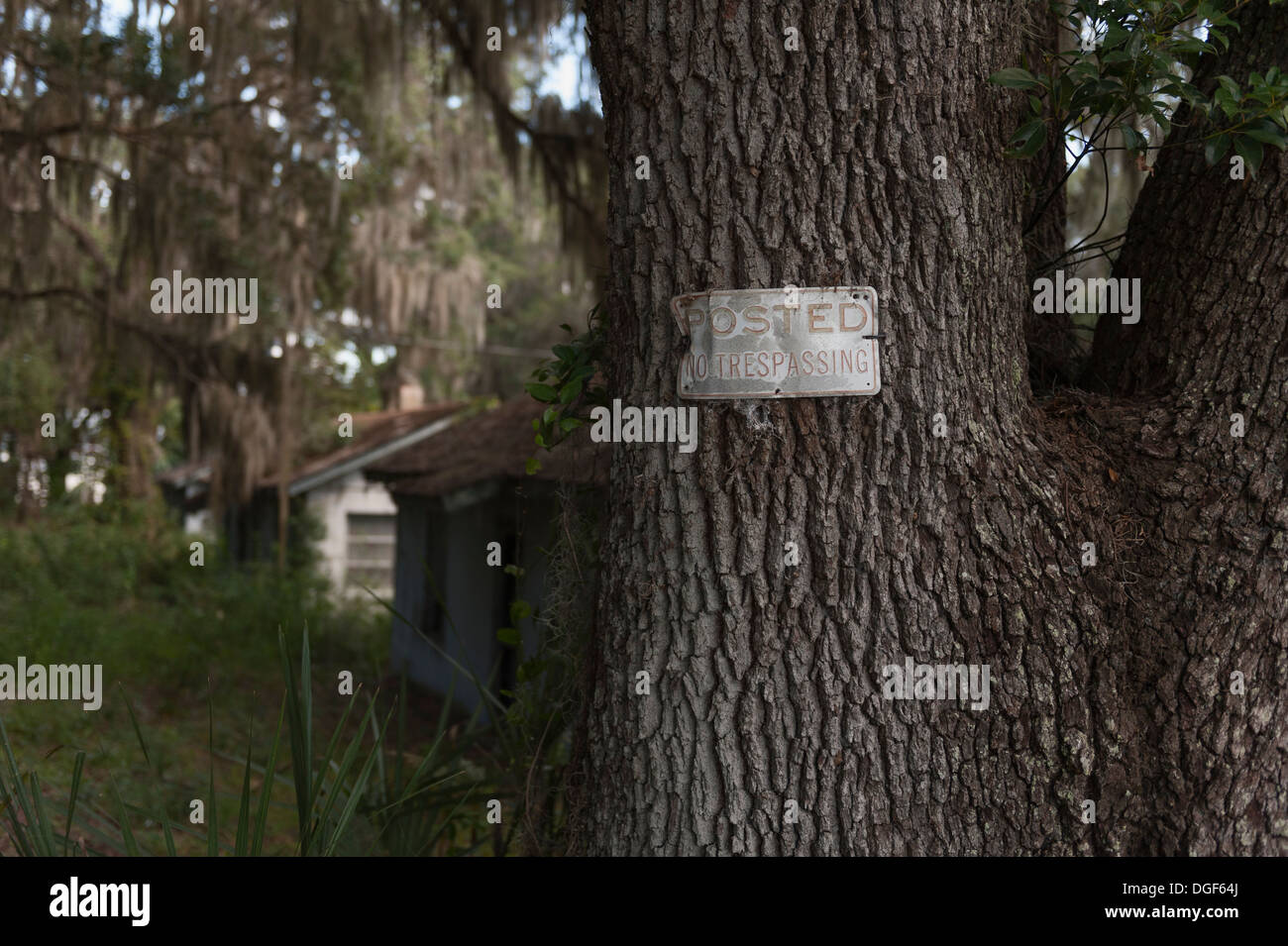 Posted, No trespassing Sign attached to an Oak Tree in Marion County ...