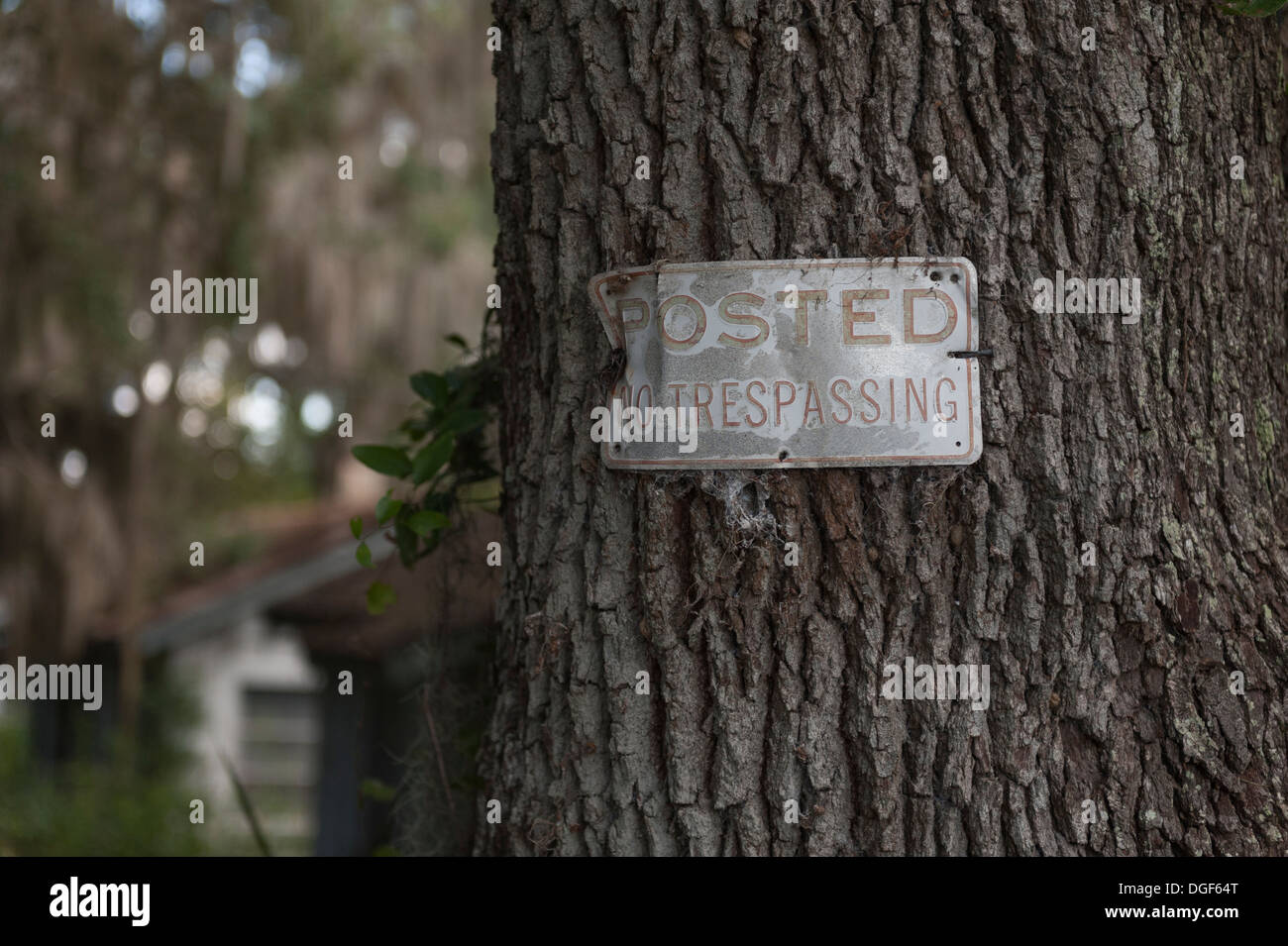 Posted, No trespassing Sign attached to an Oak Tree in Marion County ...