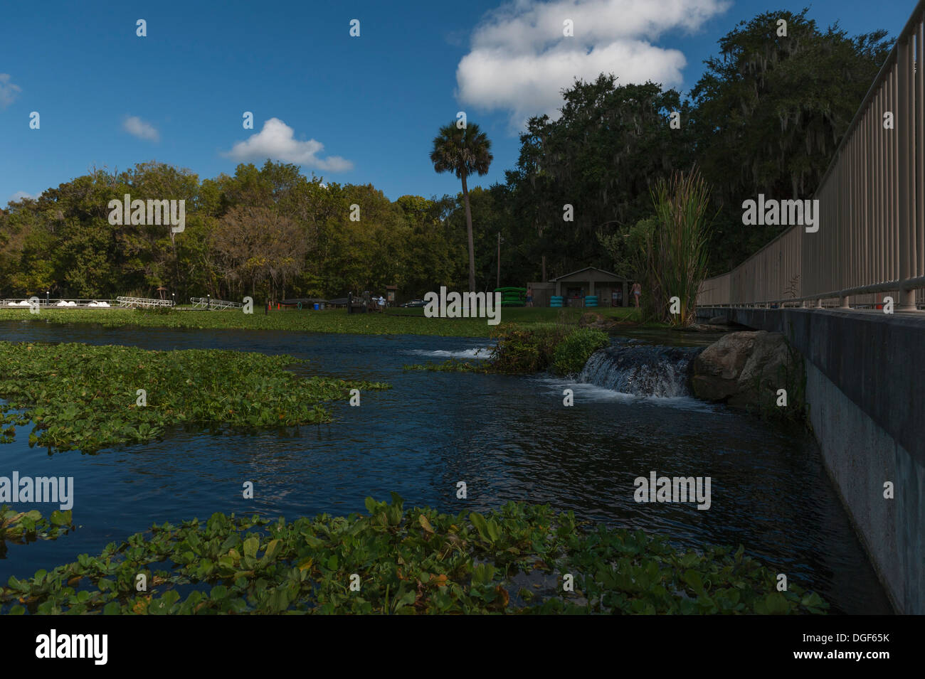 De Leon Springs State Park in Central Florida USA Stock Photo - Alamy