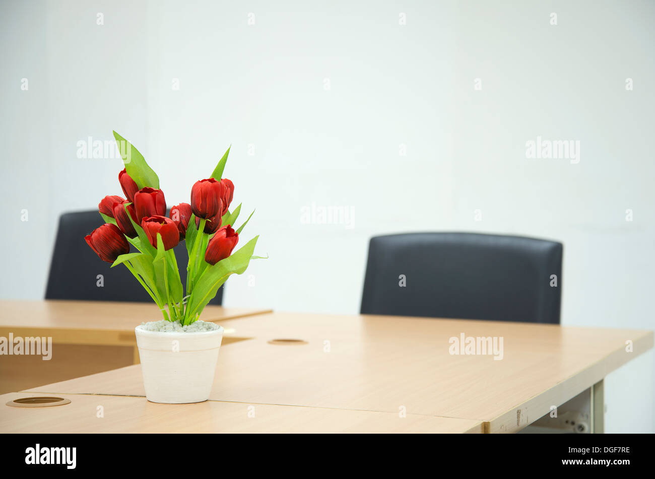 Two black chairs in a meeting room with Red flower on Meeting room ...