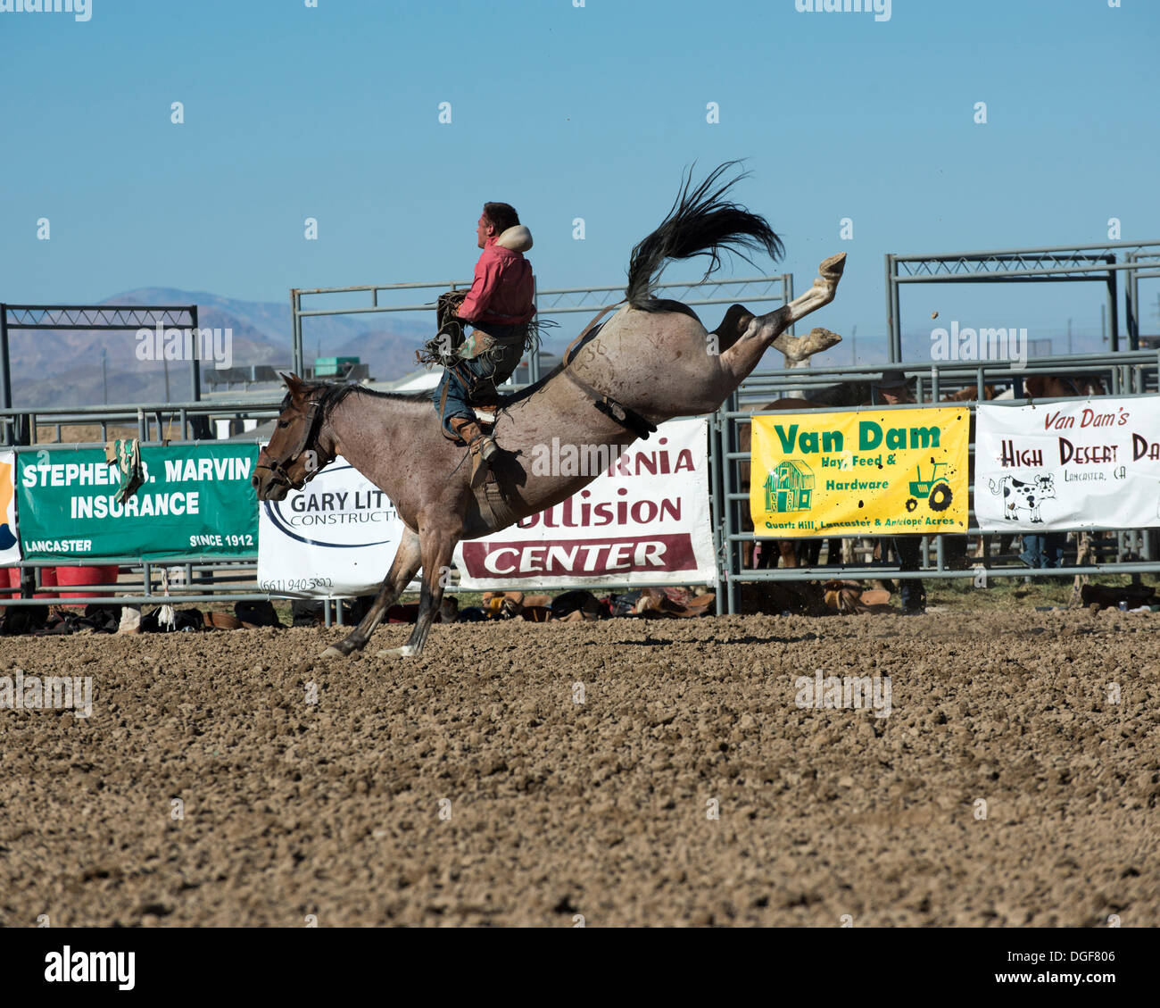 Prca circuit hi-res stock photography and images - Alamy