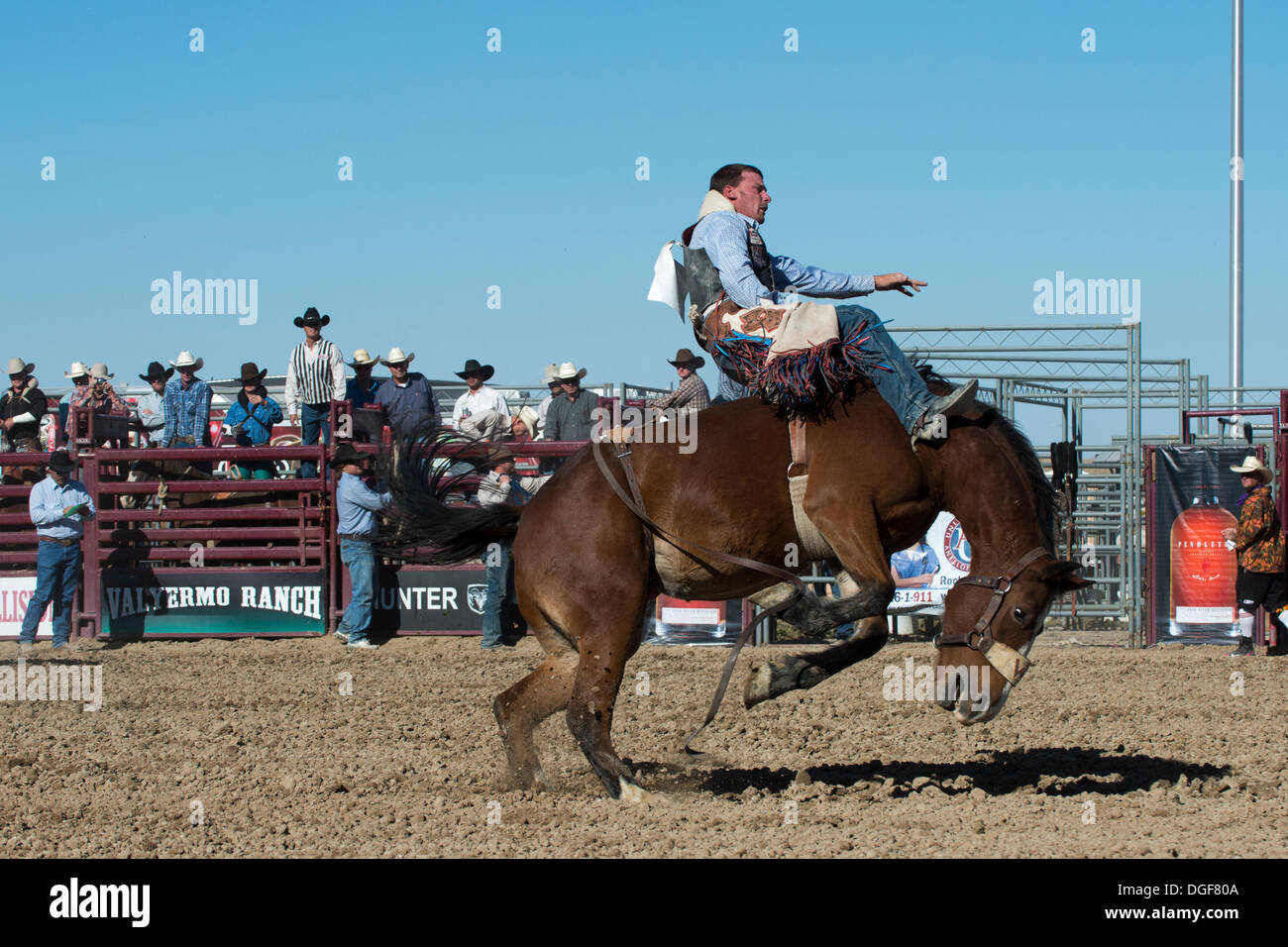 Circuit Horseback High Resolution Stock Photography and Images - Alamy