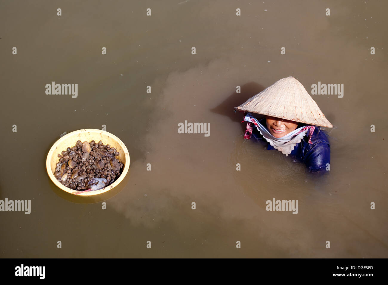 woman collecting snails in the mekong delta vietnam Stock Photo - Alamy