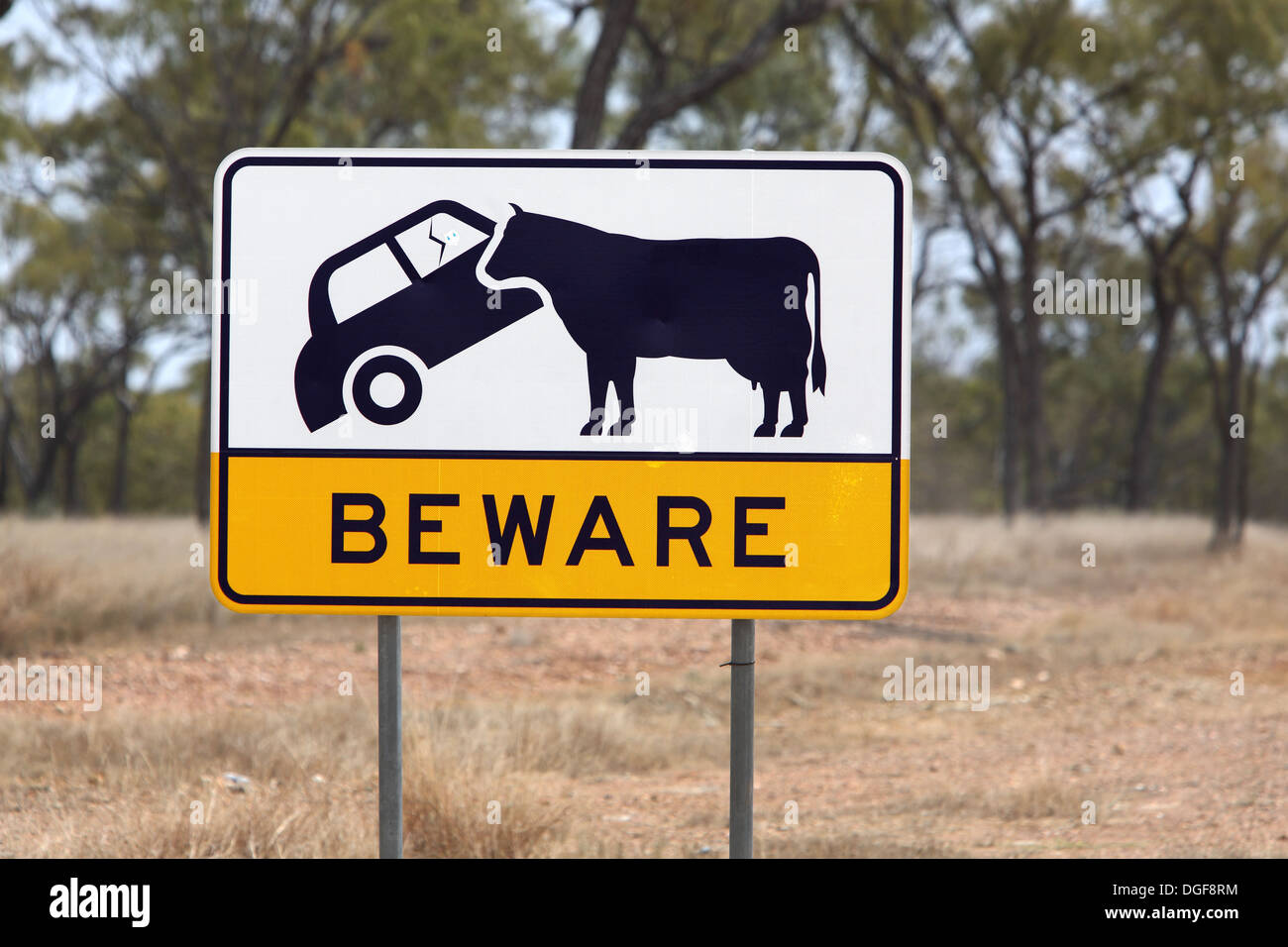 Wandering cattle warning sign. Queensland, Australia Stock Photo - Alamy