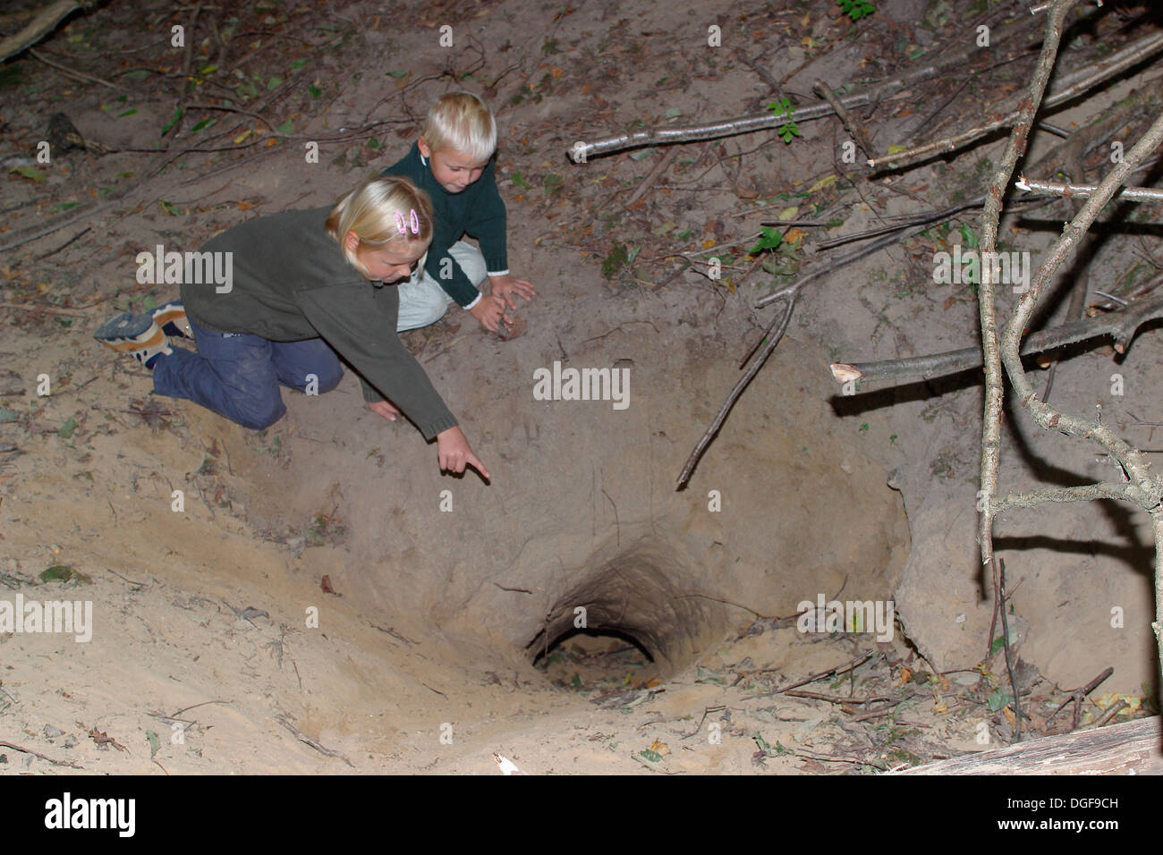 Old World badger, brock, badger set, badger sett, badger's set, badger ...