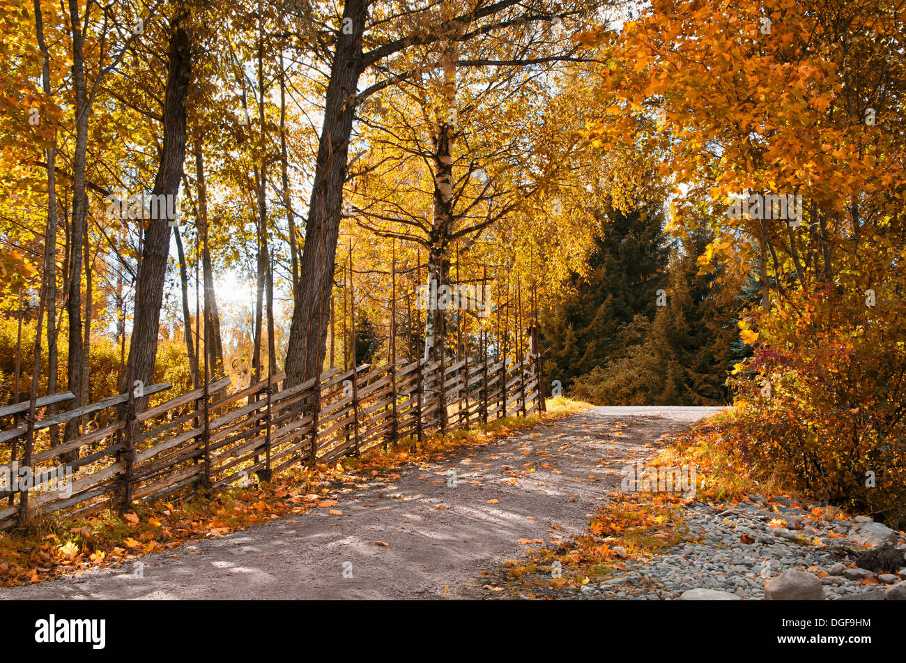 Road Trees Wood Fence Fencing Yourself In Stephens Landscaping