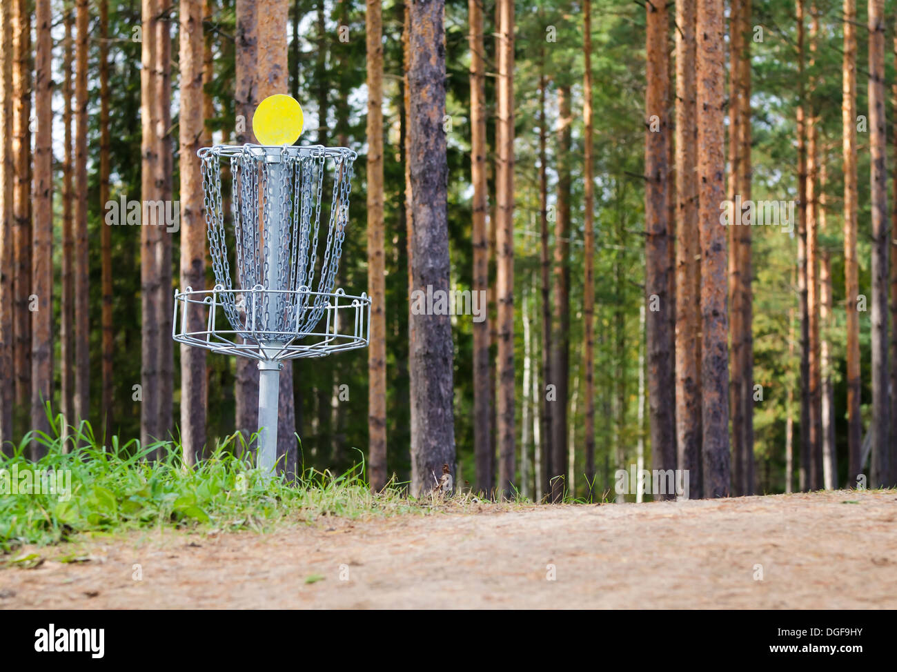 Disc golf hole in the woods Stock Photo - Alamy