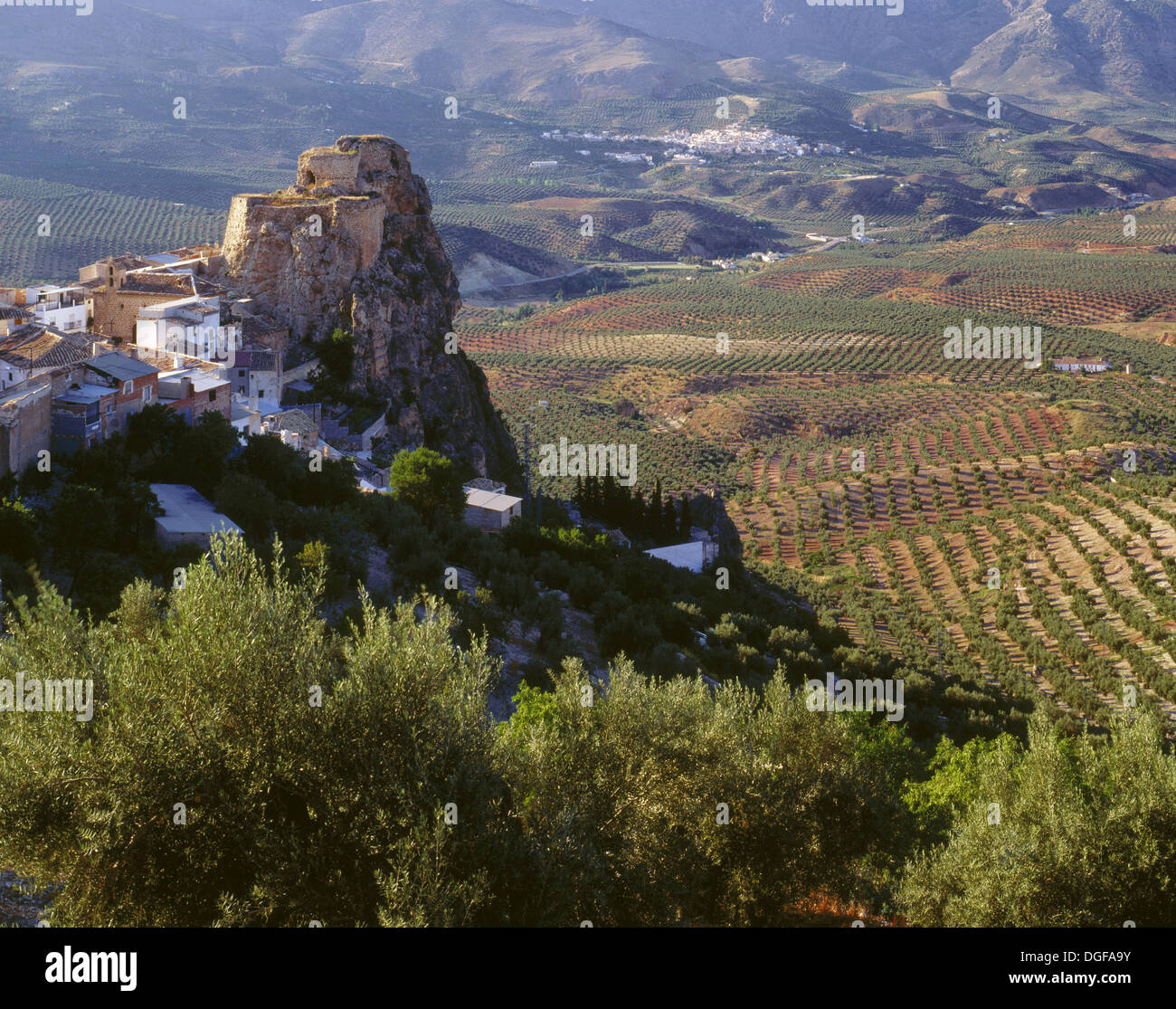 Solera hi-res stock photography and images - Alamy