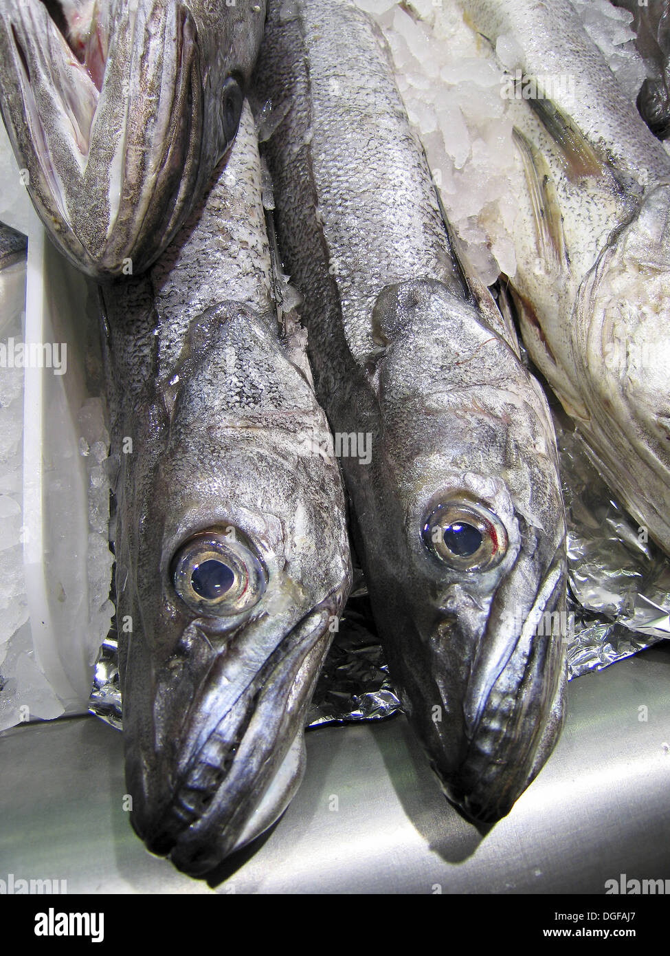 Hakes hi-res stock photography and images - Alamy