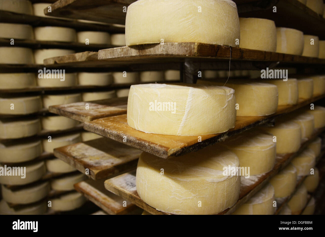 Mennonite mexico hi-res stock photography and images - Alamy