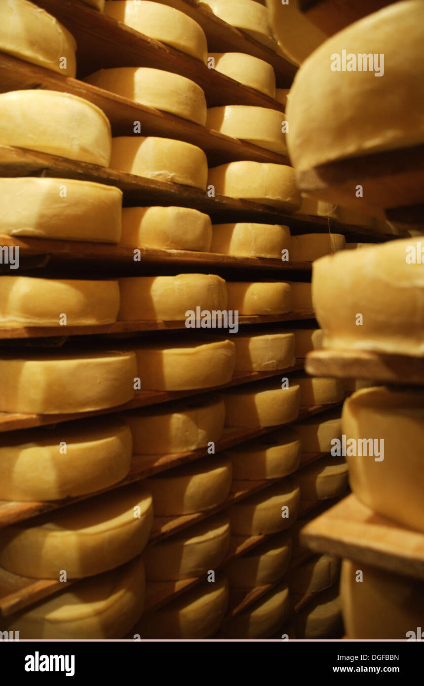 Mennonite mexico hi-res stock photography and images - Alamy