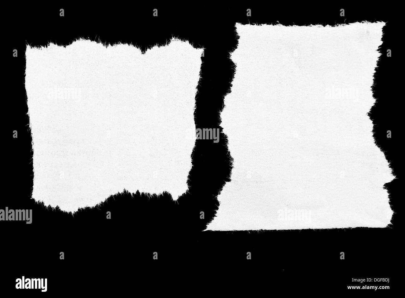 Ripped Newspaper Clipping