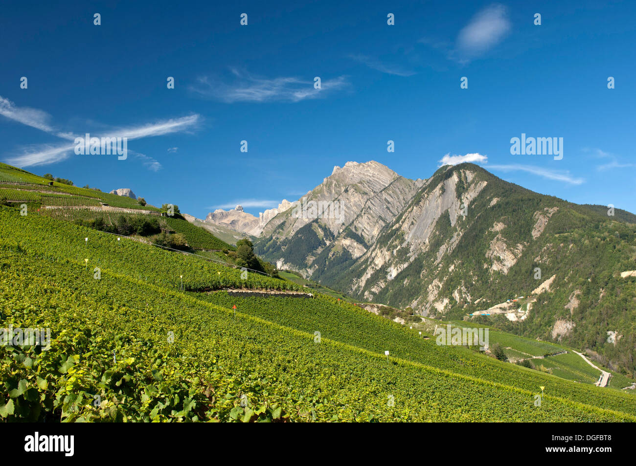 Premploz hi-res stock photography and images - Alamy