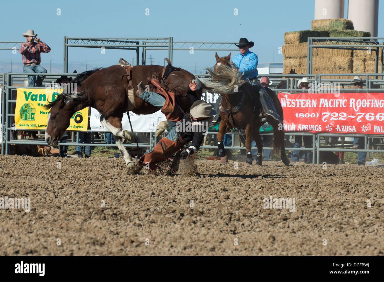 Ram national circuit hi-res stock photography and images - Alamy