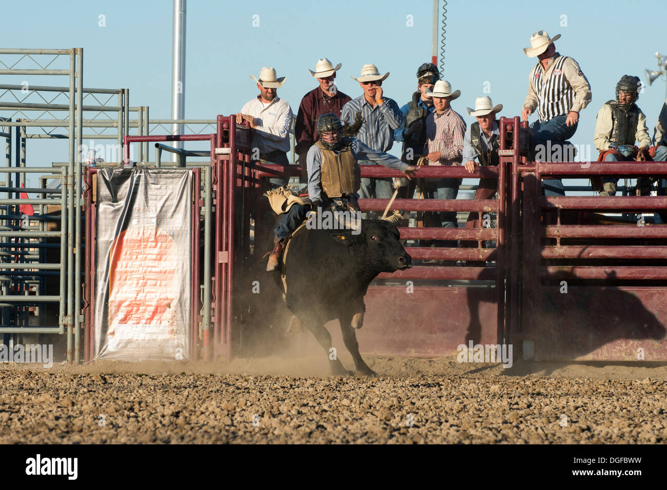 Prca circuit hi-res stock photography and images - Alamy
