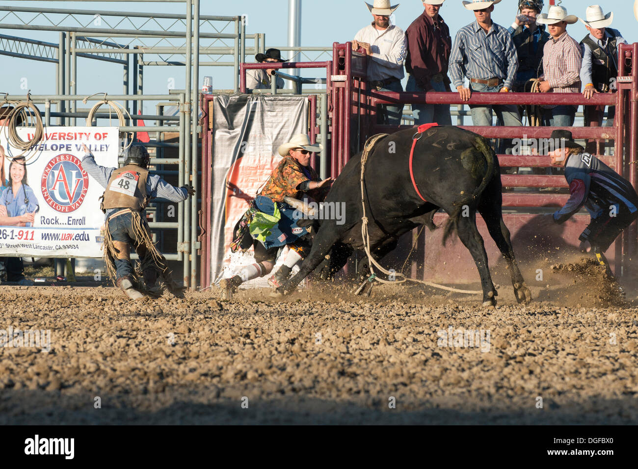 Prca circuit hi-res stock photography and images - Alamy