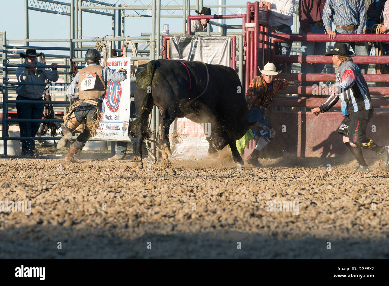 Prca circuit hi-res stock photography and images - Alamy