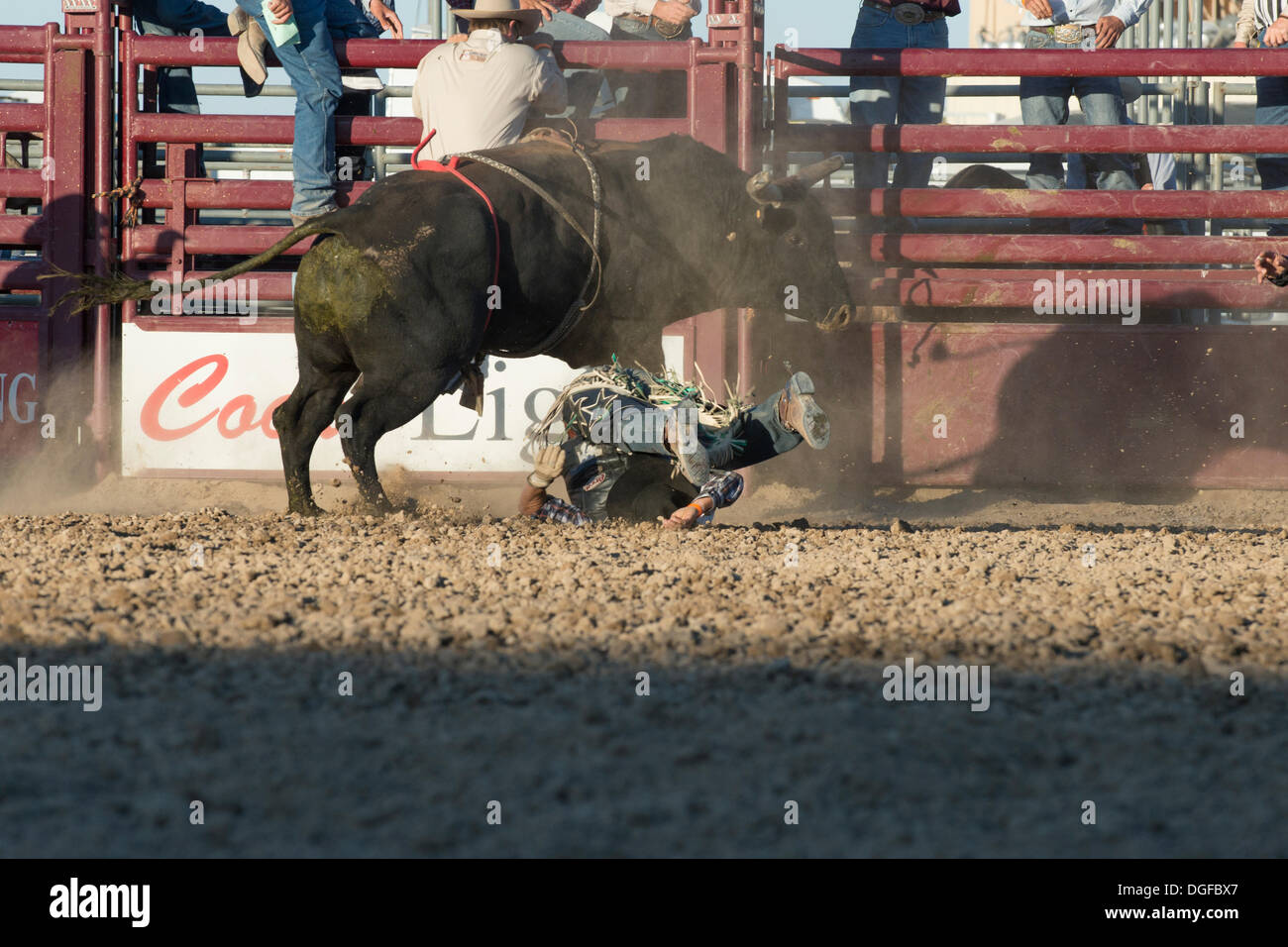 Prca circuit hi-res stock photography and images - Alamy