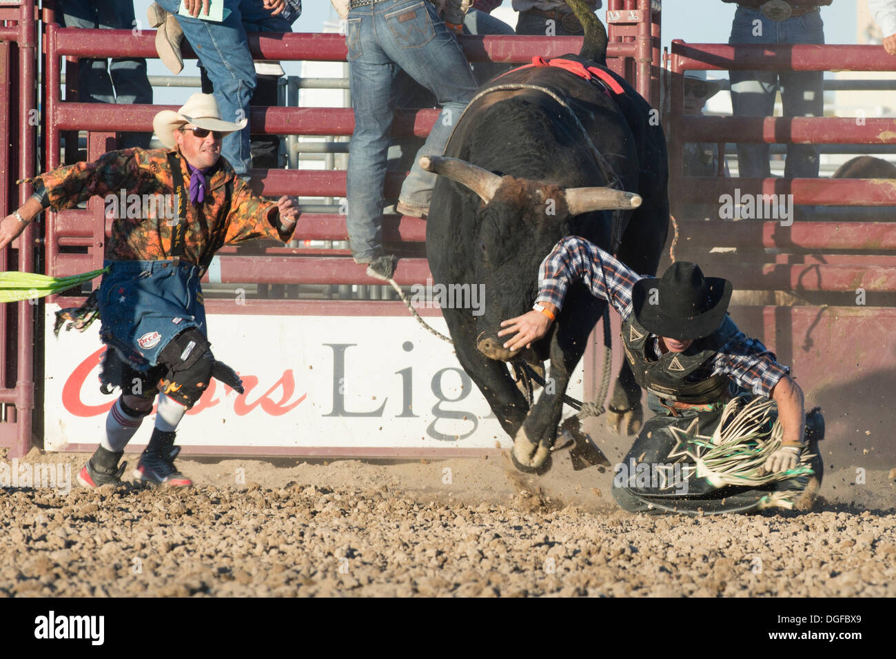 Lancaster, CA, USA. 20th Oct, 2013. 2013 PRCA RAM California Circuit ...