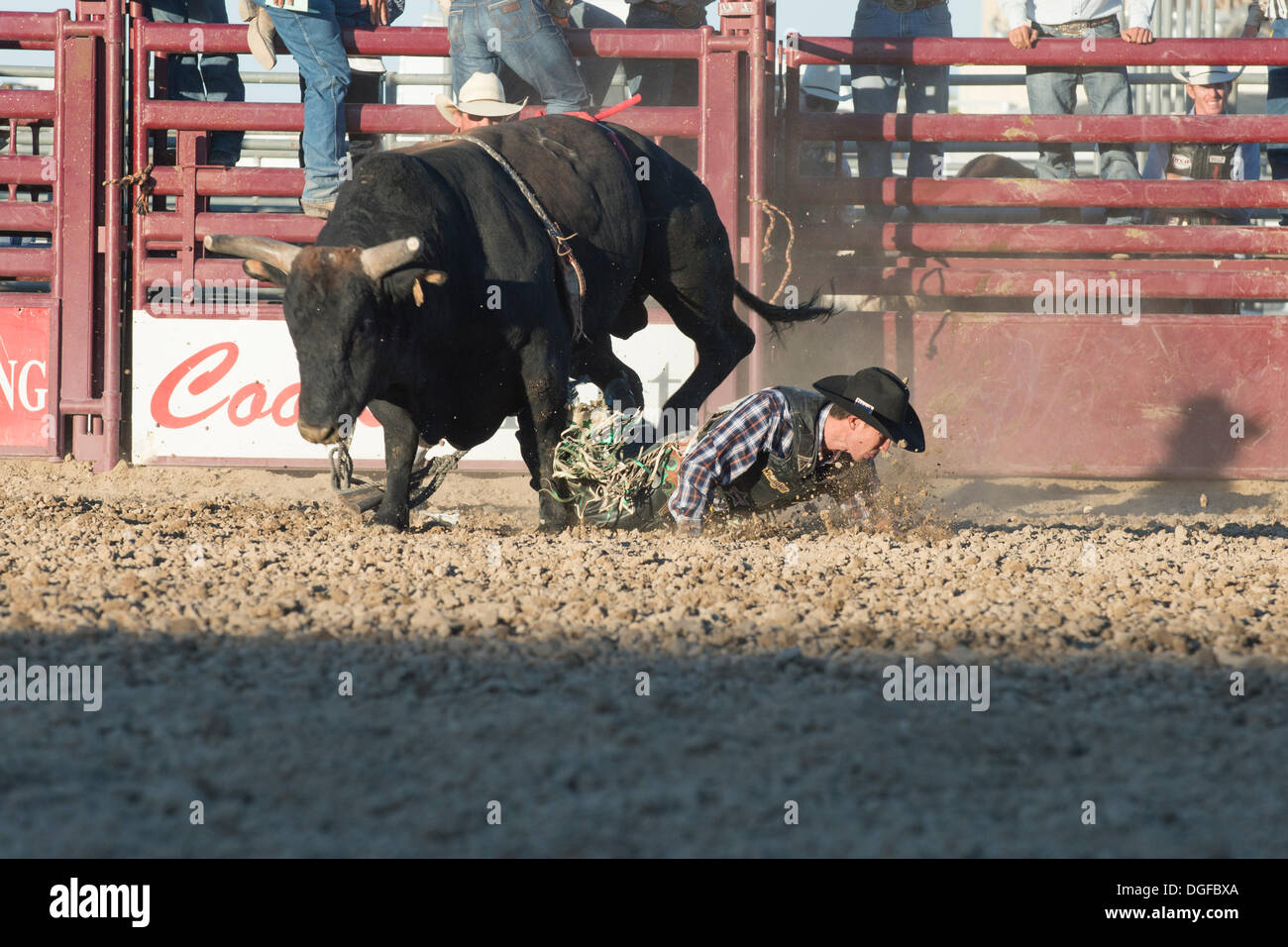 Lancaster, CA, USA. 20th Oct, 2013. 2013 PRCA RAM California Circuit ...