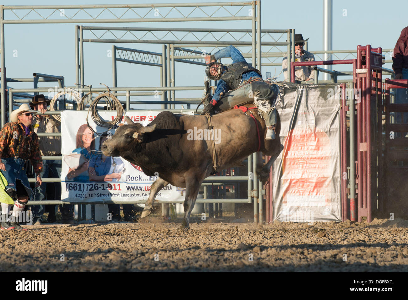 Prca circuit hi-res stock photography and images - Alamy