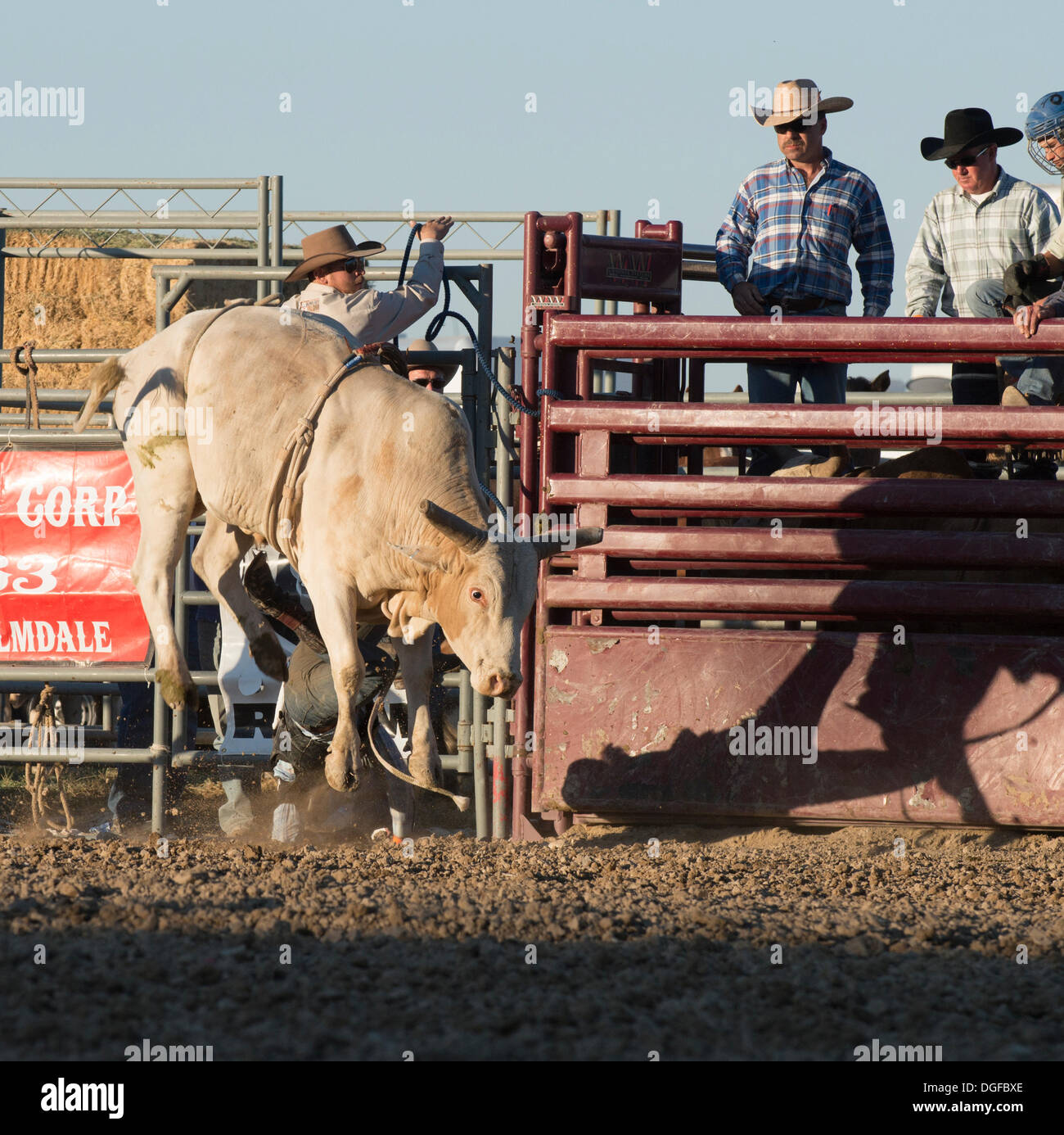 Prca circuit hi-res stock photography and images - Alamy
