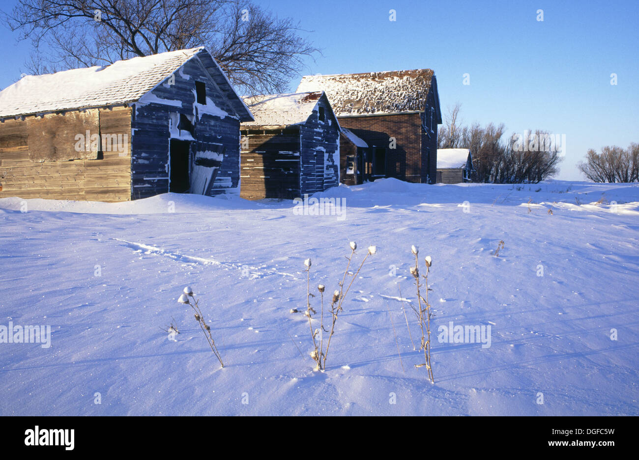 Abandoned shacks in america hi-res stock photography and images - Alamy