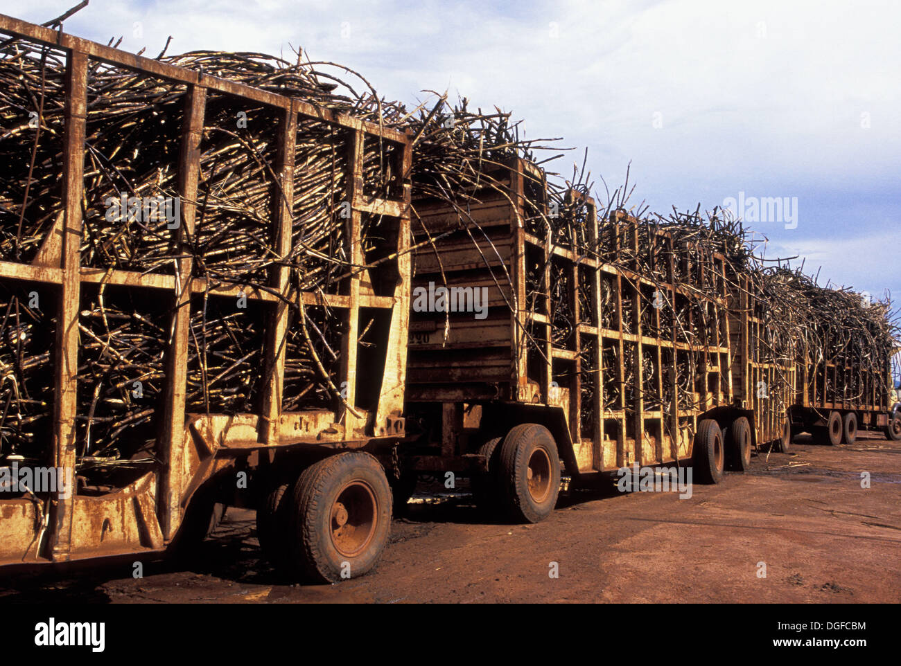 Sugar Mill Brazil High Resolution Stock Photography and Images - Alamy