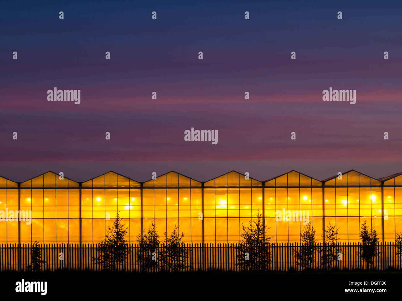 Billingham, Teesside, north east England. UK. Pre sunrise sky over APS ...