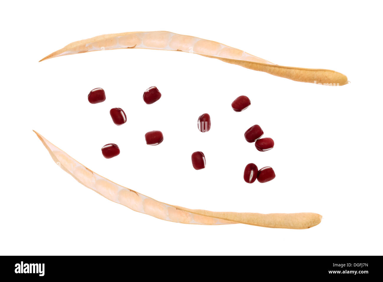 red beans and pod Stock Photo - Alamy