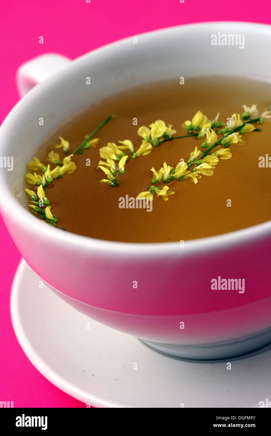 Sweet clover tea (Melilotus officinalis Stock Photo - Alamy