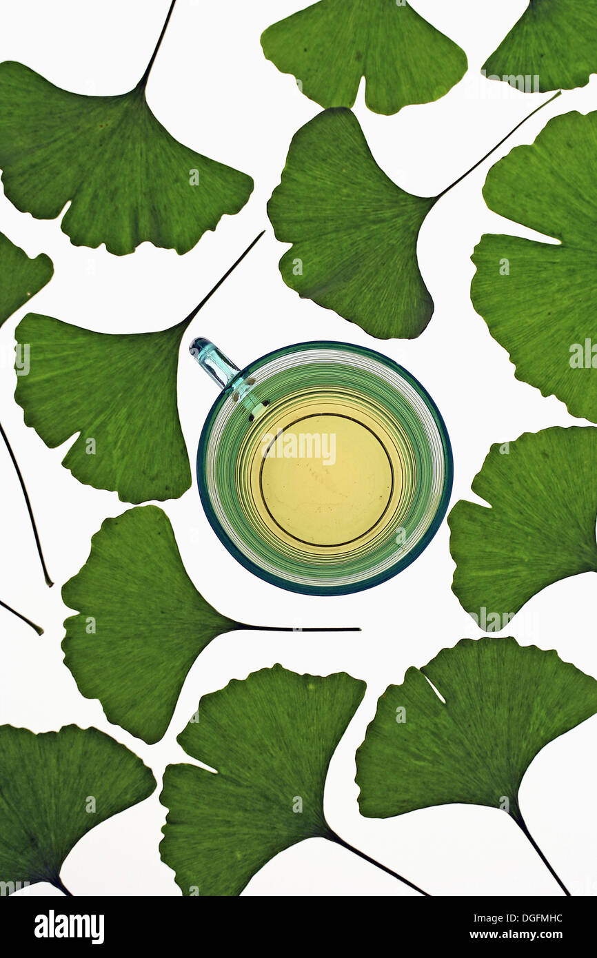 Gingko tea hi-res stock photography and images - Alamy