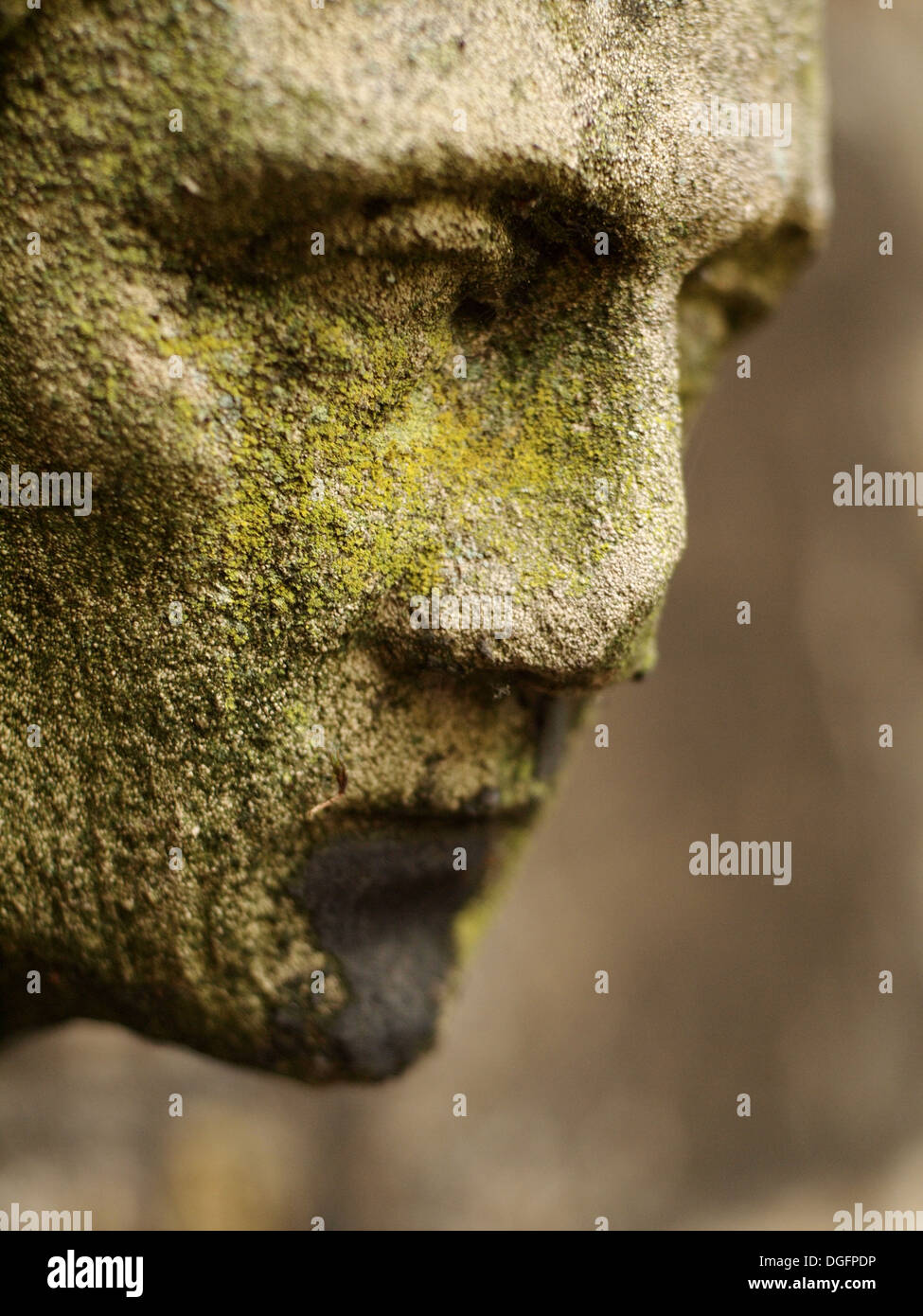 stone face in profile, sculpture on old church Stock Photo - Alamy