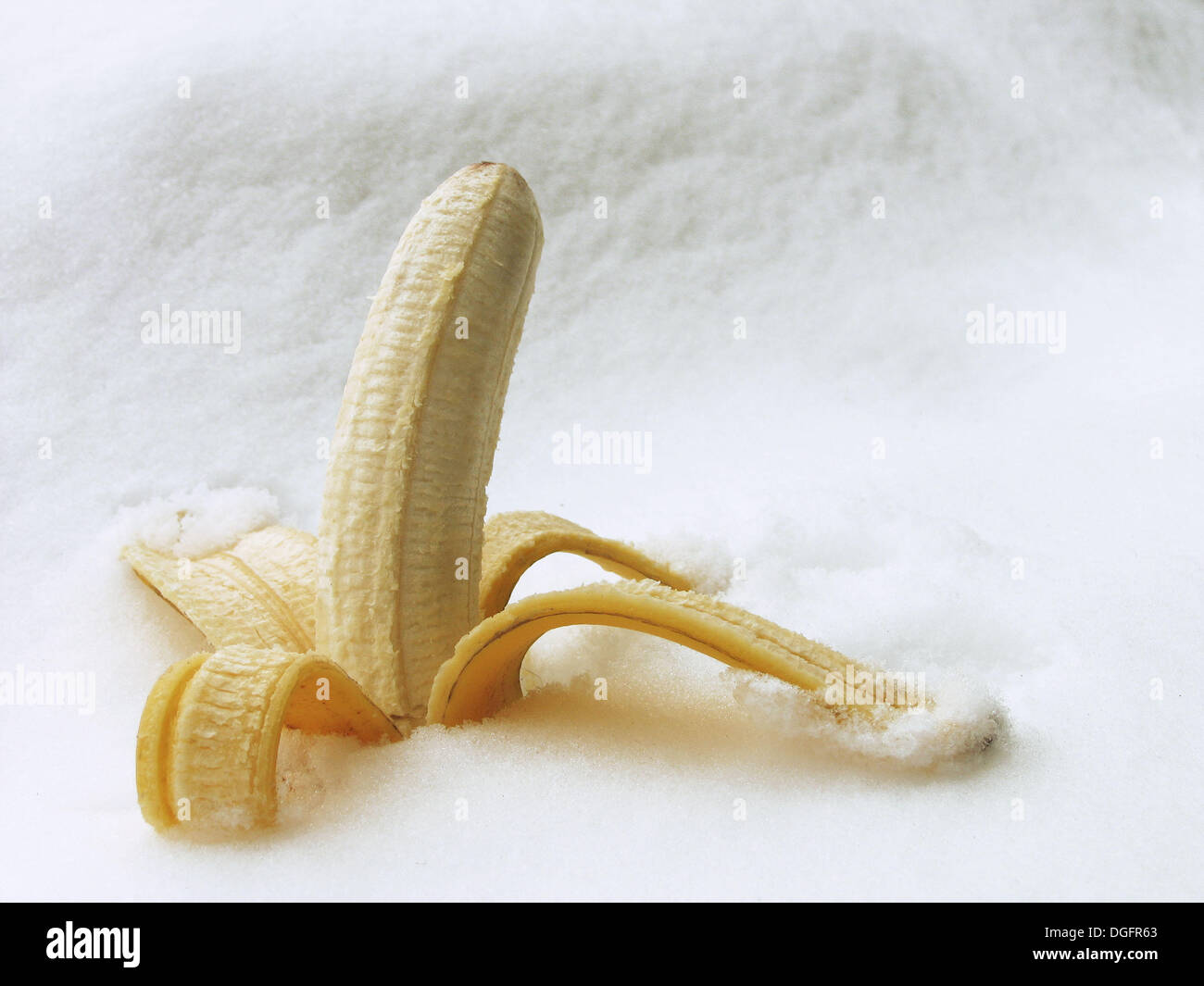 Snow banana tree hi-res stock photography and images - Alamy