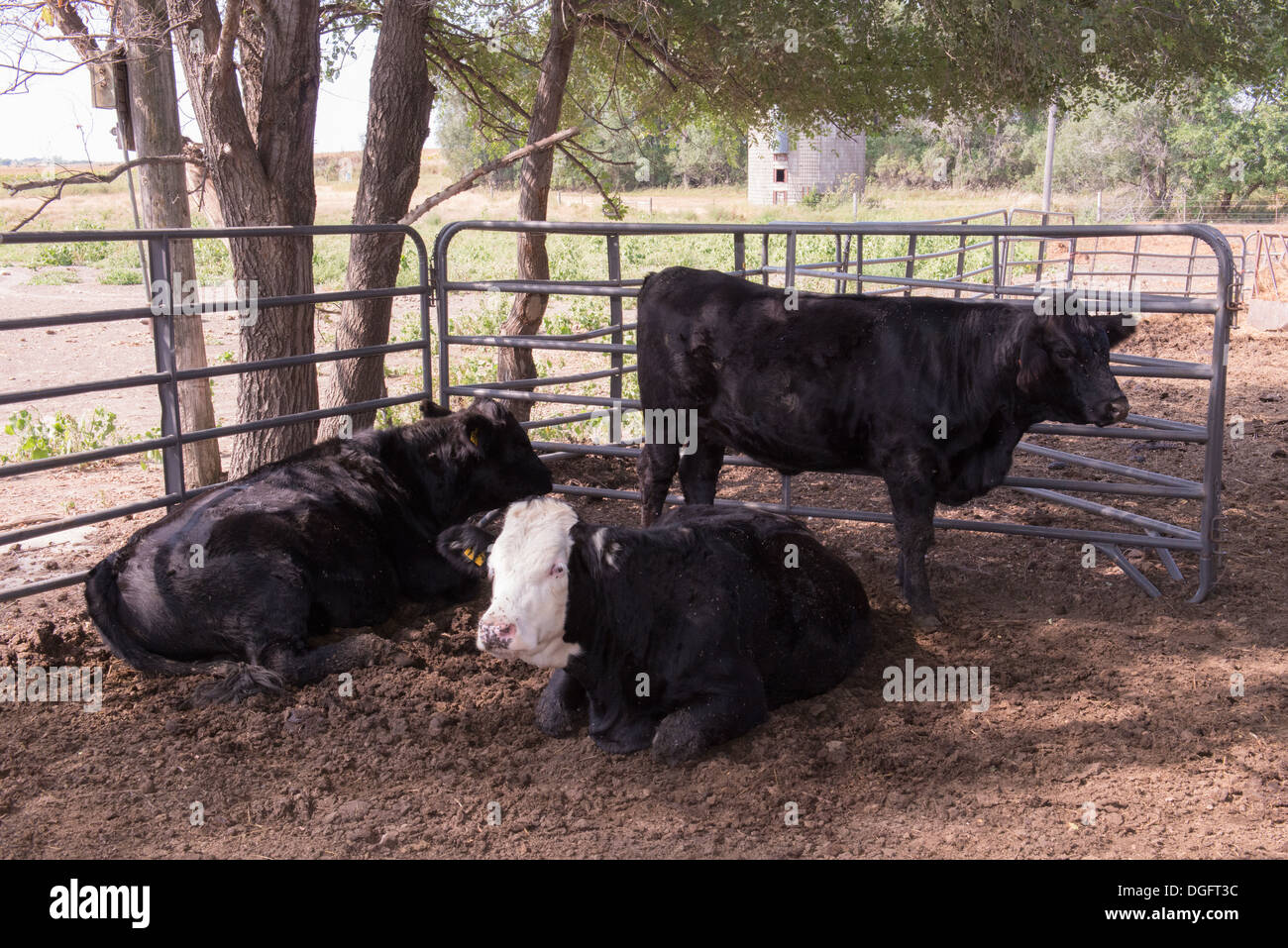 Urban enclosure hi-res stock photography and images - Alamy