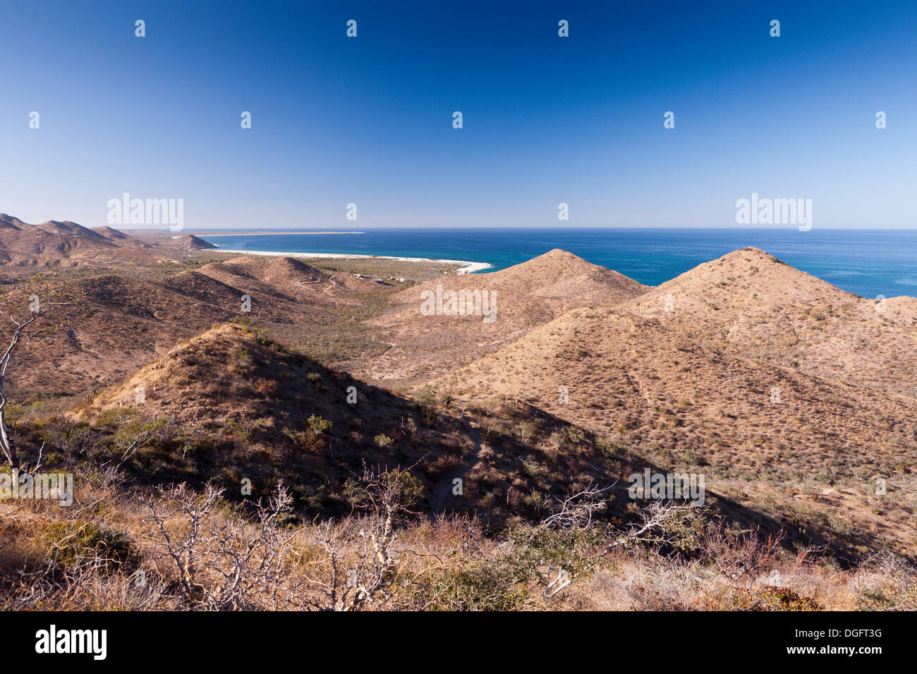Desert landscape baja california mexico hi-res stock photography and ...