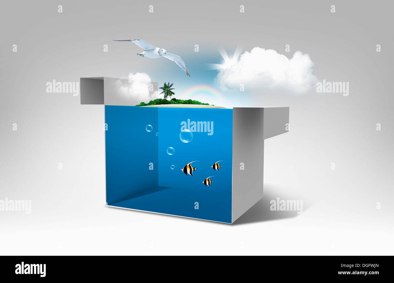 water with fishes in a box with a land on top Stock Photo - Alamy