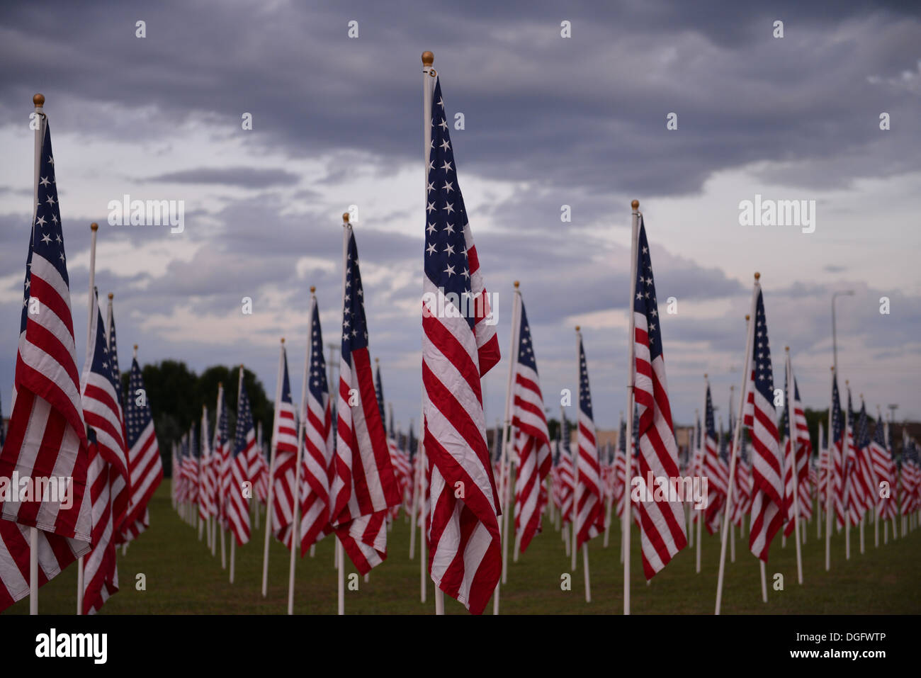 Many US Flags under a cloudy sky Stock Photo - Alamy