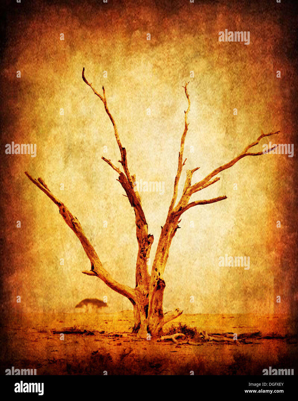 Dry grunge african desert tree, with old dirty texture effect Stock ...