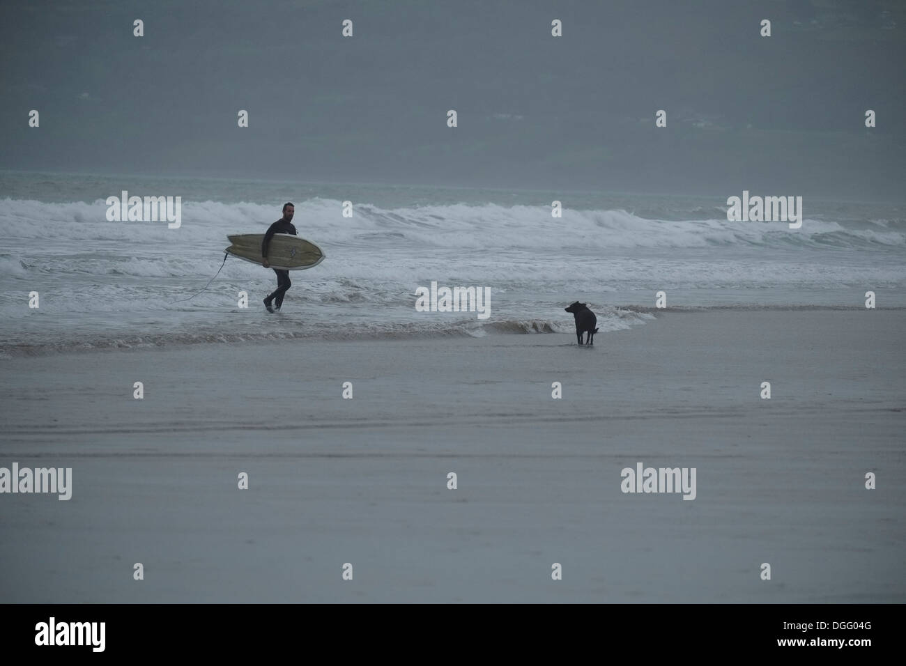 Waiting for the master Stock Photo - Alamy