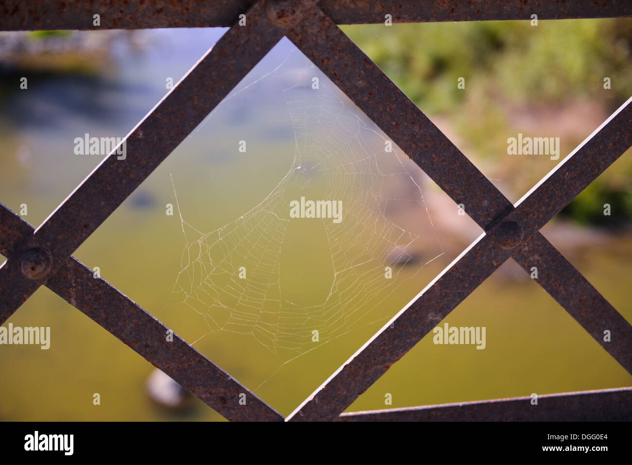 Spiderweb in a rusty metalwork frame Stock Photo - Alamy