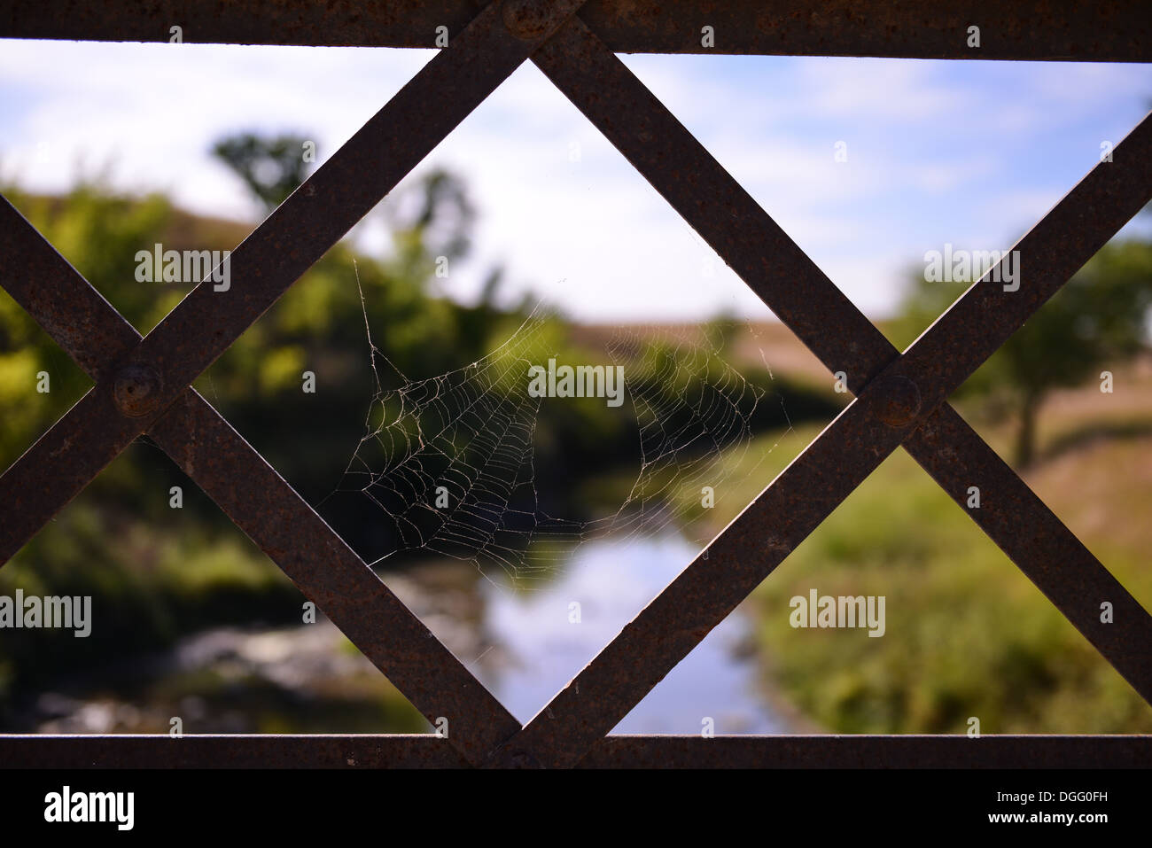 Spiderweb in a rusty metalwork frame Stock Photo - Alamy